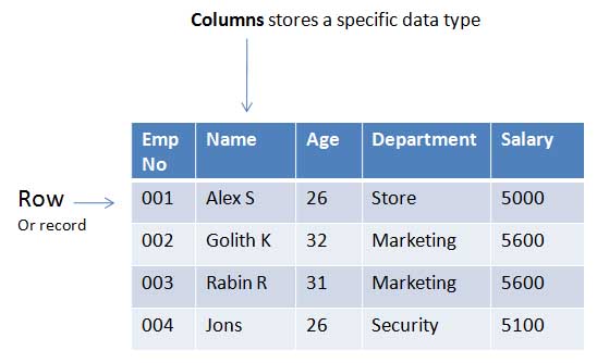 Database Table And Record Basics